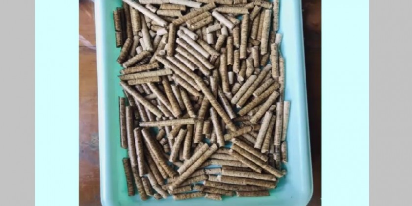 Rice husk pellets: Husk pellets widely used in Ayeyarwaddy region ...