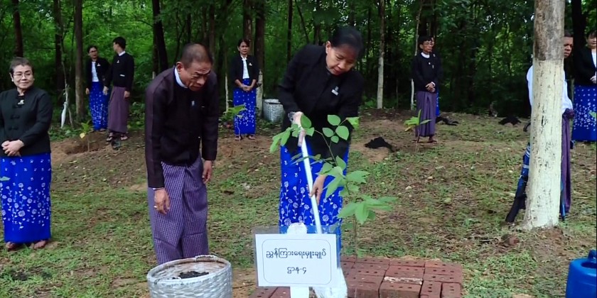 Monsoon tree planting: MoLA organized monsoon tree planting ceremony ...