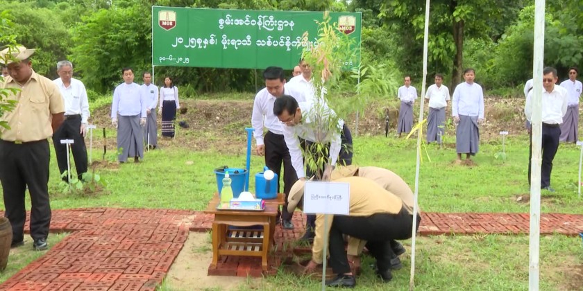 Ceremony of tree planting: MoE organized a ceremony of tree planting ...