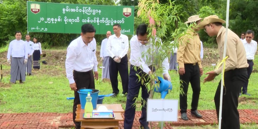 Ceremony of tree planting: MoE organized a ceremony of tree planting ...