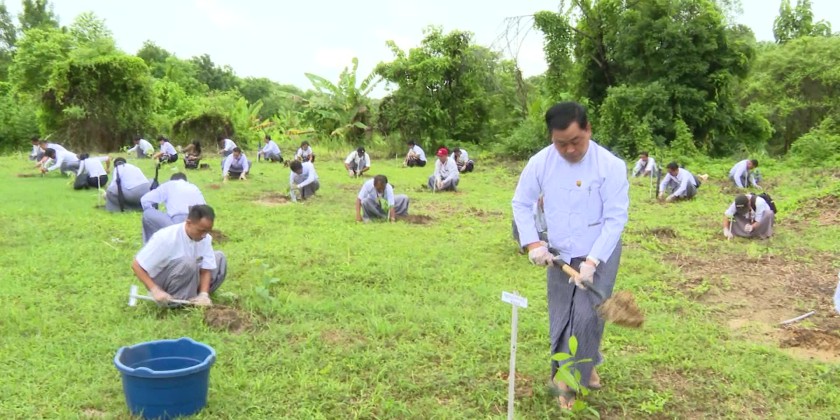 Ceremony of tree planting: MoE organized a ceremony of tree planting ...