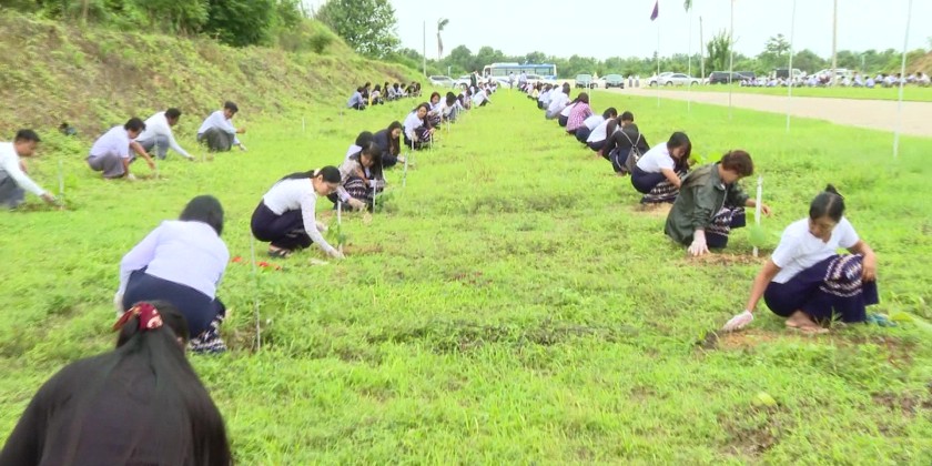 Ceremony of tree planting: MoE organized a ceremony of tree planting ...