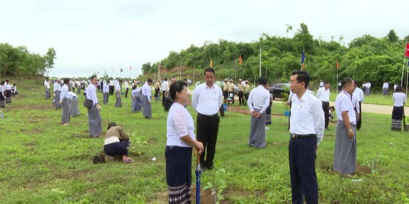 Ceremony of tree planting: MoE organized a ceremony of tree planting ...