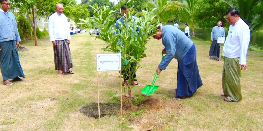 Tree Planting Ceremony: MOEA organizes a ceremony for 2023 monsoon ...