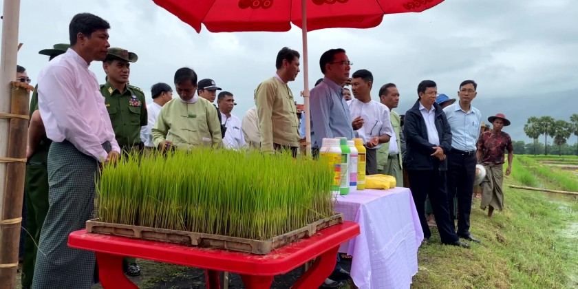 Agriculture, Livestock & MSME: Bago Region CM makes field inspections ...