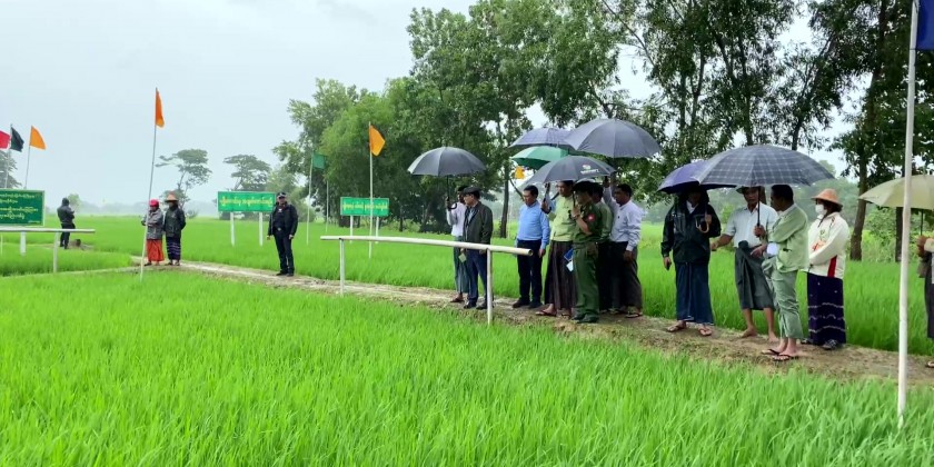 Agriculture, Livestock & MSME: Bago Region CM makes field inspections ...