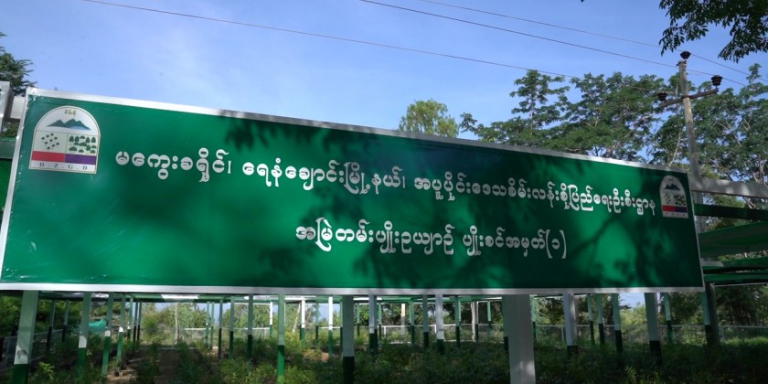Ecosystem Conservation: Magway Region holds Monsoon Tree-Planting ...