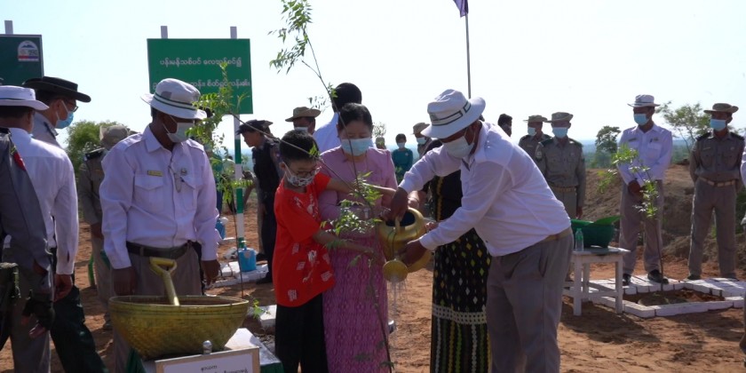 Ecosystem Conservation: Magway Region holds Monsoon Tree-Planting ...