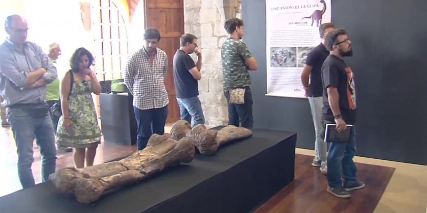 Researchers in Spain discover a new species of sauropod dinosaur ...