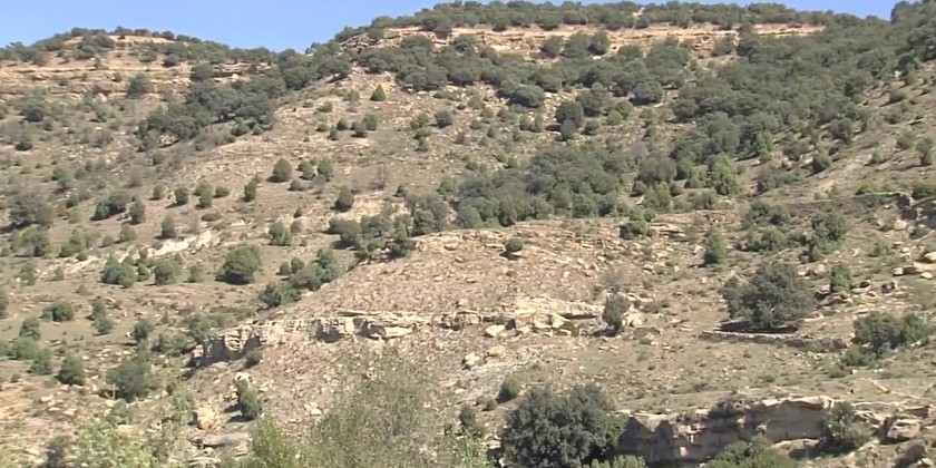 Researchers in Spain discover a new species of sauropod dinosaur ...