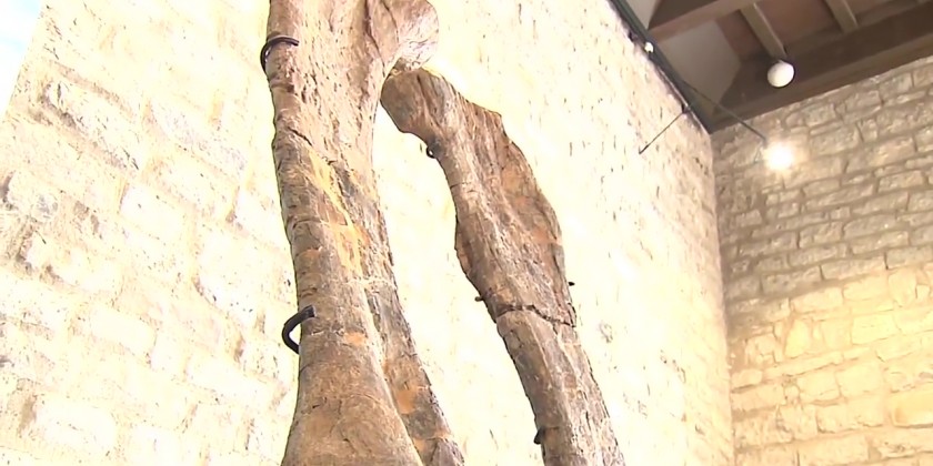 Researchers in Spain discover a new species of sauropod dinosaur ...