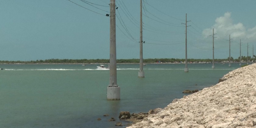Florida's corals bleach as seawaters reach record temperatures ...