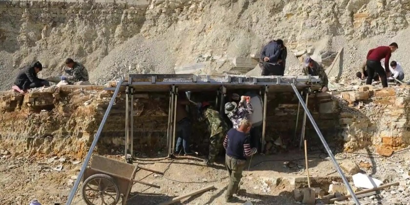Two well-preserved dinosaur fossils unearthed in north China's Hebei ...