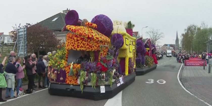 Famed Dutch Flower Parade begins in Noordwijk | Myanmar International TV