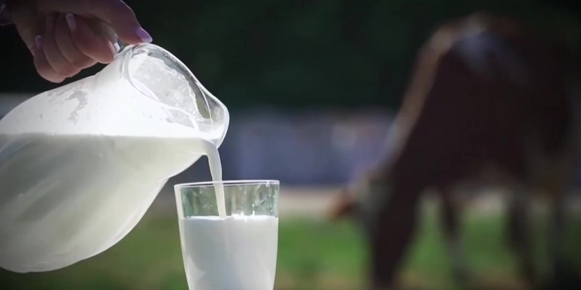 Nigeria marks World Milk Day | Myanmar International TV