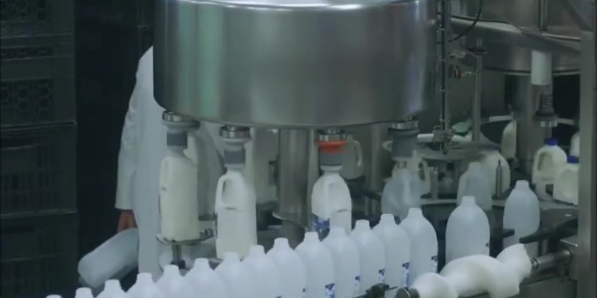 Nigeria marks World Milk Day | Myanmar International TV