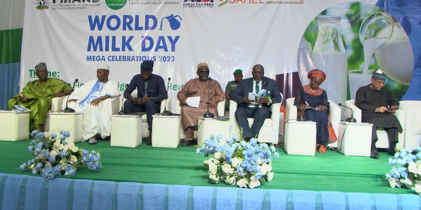 Nigeria marks World Milk Day | Myanmar International TV