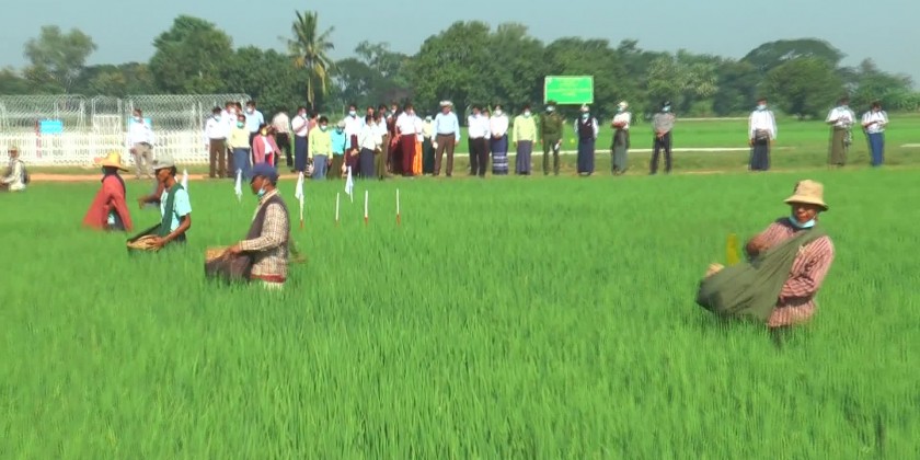 Agricultural Development: Natural & chemical fertilizers scattering ...