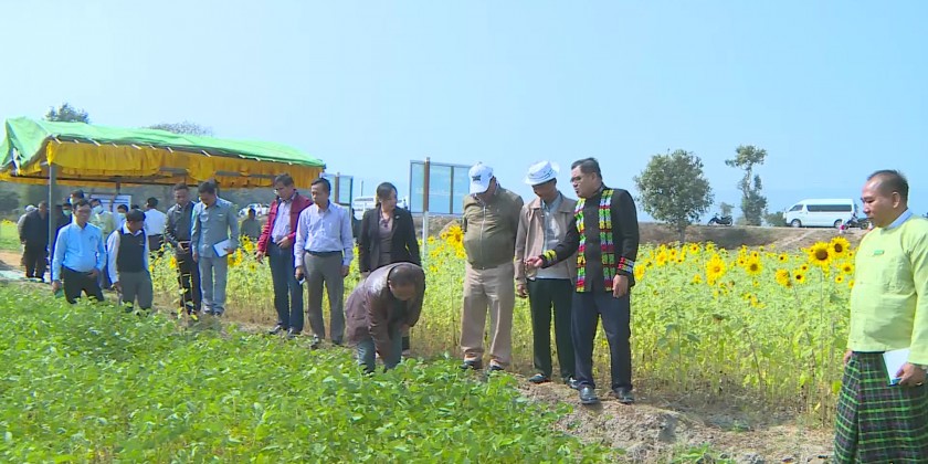 Agriculture Sector: Chief Minister makes inspections in Mohnyin ...