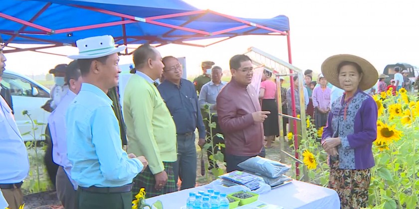 Agriculture Sector: Chief Minister makes inspections in Mohnyin ...