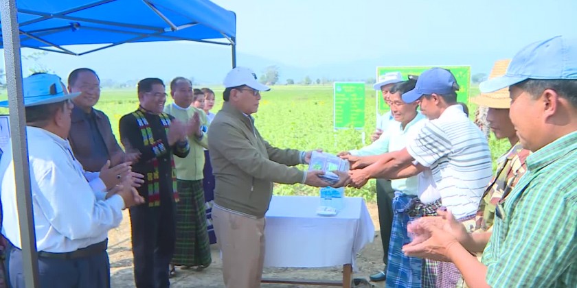 Agriculture Sector: Chief Minister makes inspections in Mohnyin ...