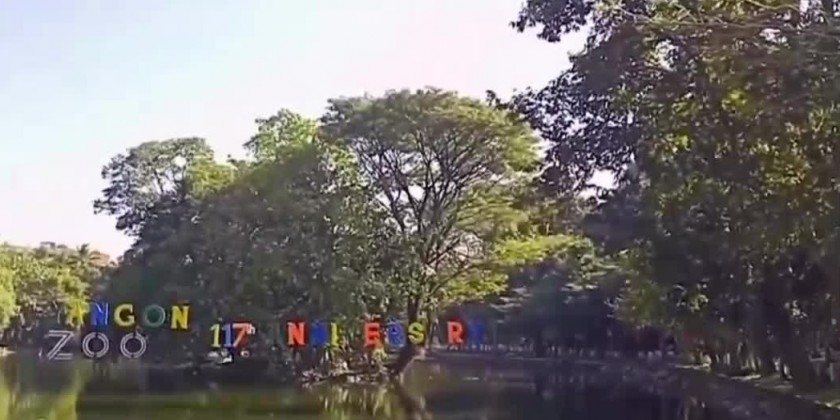 117th Anniversary: Yangon Zoo will celebrate for three days | Myanmar ...