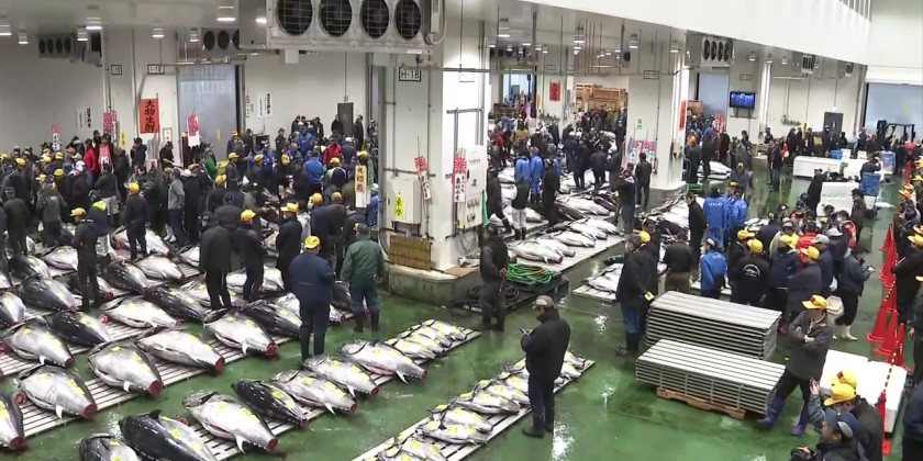 'Tuna King' pays record $3.2 mn for bluefin at Tokyo auction | Myanmar ...