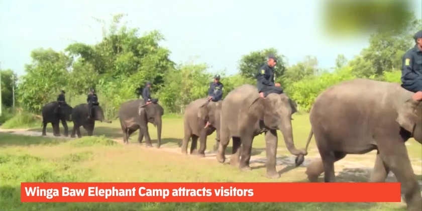 Booming Ecotourism: Winga Baw Elephant Camp attracts visitors | Myanmar ...