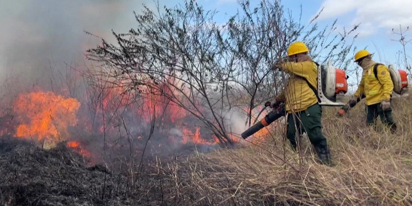 Wildfires in Brazil's Pantanal, the world's largest tropical wetland ...