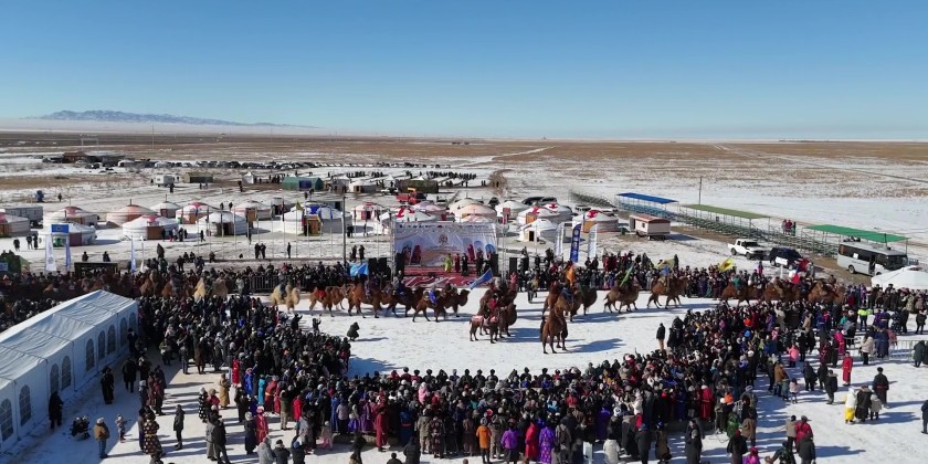 29th Thousand Camel Festival held successfully | Myanmar International TV