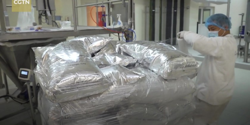 Camel milk powder debuts at Chinese import fair | Myanmar International TV