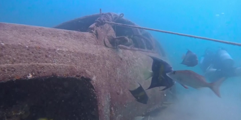 Car acting as artificial reef attracts Qatar visitors | Myanmar ...