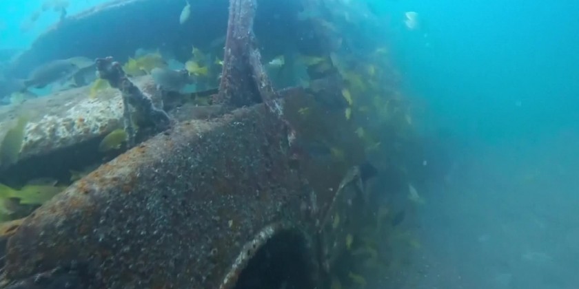 Car acting as artificial reef attracts Qatar visitors | Myanmar ...