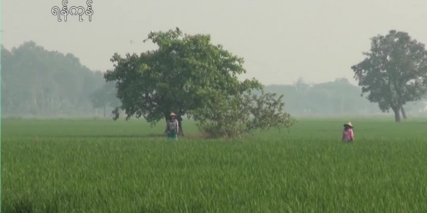 Contract Farming System: Over 850,000 acres of farmland to be carried ...