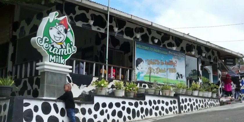 Dairy Milk in Various Variants | Myanmar International TV