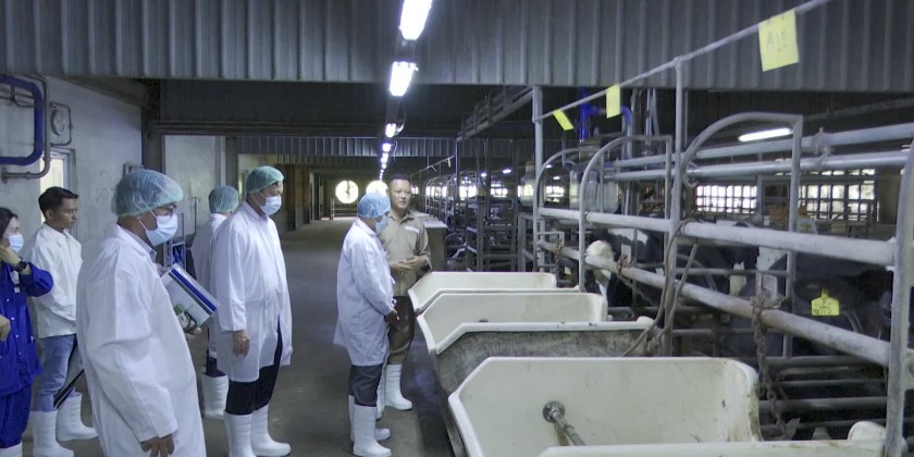 Dairy Production: MOALI Union Minister inspects Dairy Cow Farm ...