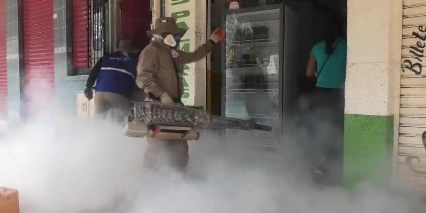 Bolivia reinforces fumigation, dengue cases on the rise | Myanmar ...