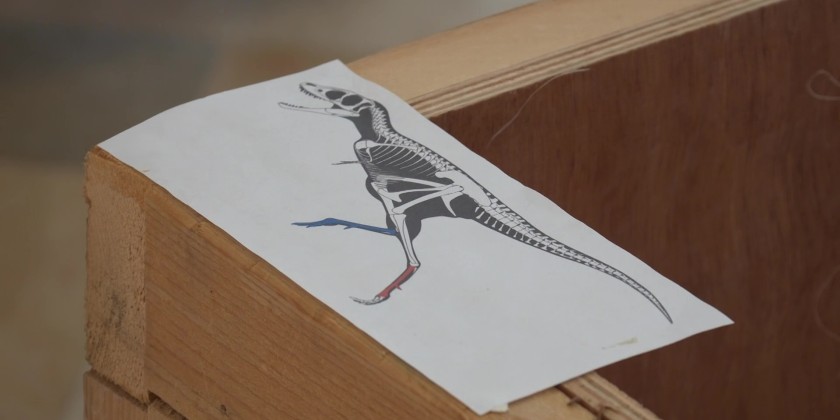 Stolen dinosaur fossils finally to be returned home | Myanmar ...