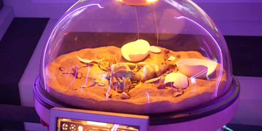 Suzhou exhibition displays dinosaur models in living scenario | Myanmar ...