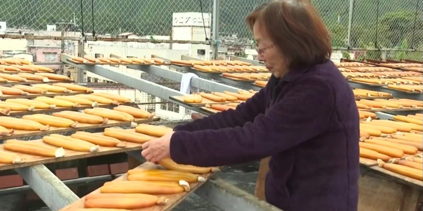 Production of dried mullet roe is in full swing in the central Japan ...