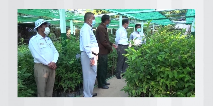 Efforts for Greening: MoNREC Union Minister inspected forest ...