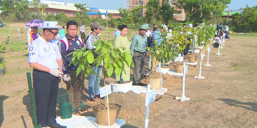 Environmental Conservation: CM participates in pre-monsoon tree ...