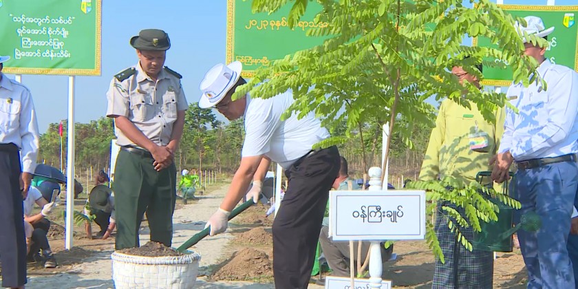 Environmental Conservation: CM participates in pre-monsoon tree ...