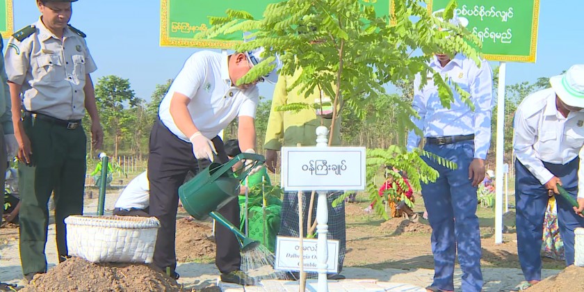 Environmental Conservation: CM participates in pre-monsoon tree ...