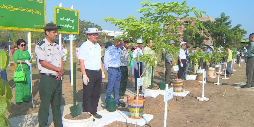 Environmental Conservation: CM participates in pre-monsoon tree ...