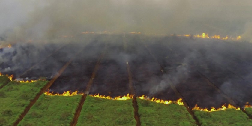 Fire rages Indonesia peatland in Sumatra Island, causing haze in cities ...