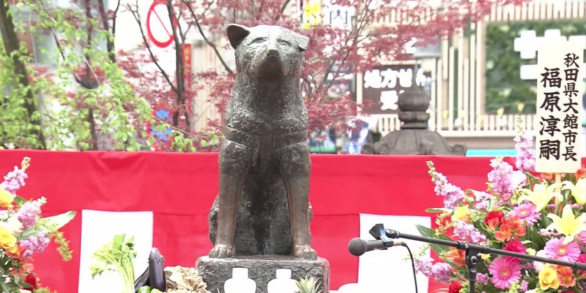 Memorial event held for Hachiko the famously loyal dog | Myanmar ...