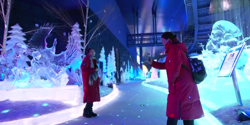 Northeast China's Harbin City stages ice sculpture exhibition in summer ...