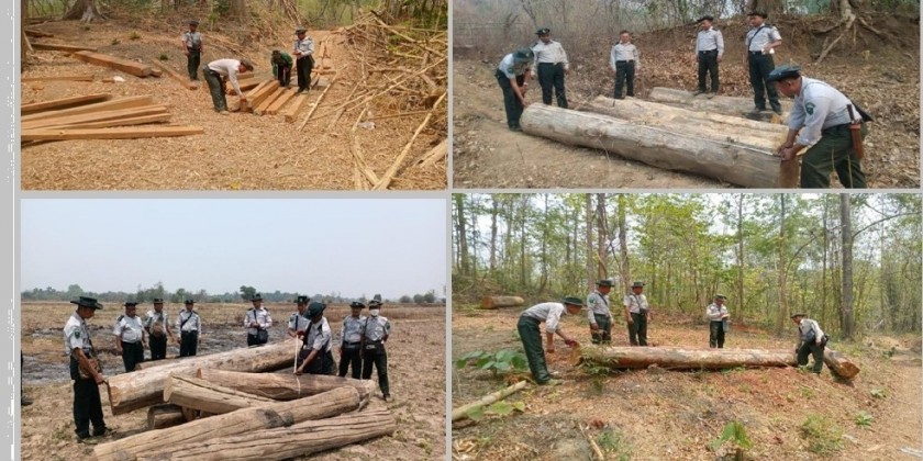 Illegal Trade:Illegal timber and goods confiscated | Myanmar ...