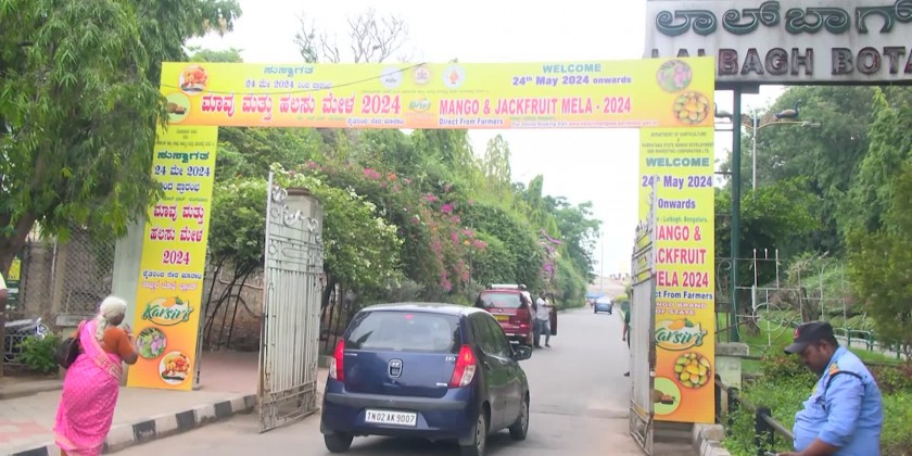 Mango fair attracts crowds in Karnataka’s Bengaluru | Myanmar ...